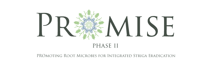 Promoting Root Microbes for Integrated Striga Eradication - Promise II - International Parasitic ...