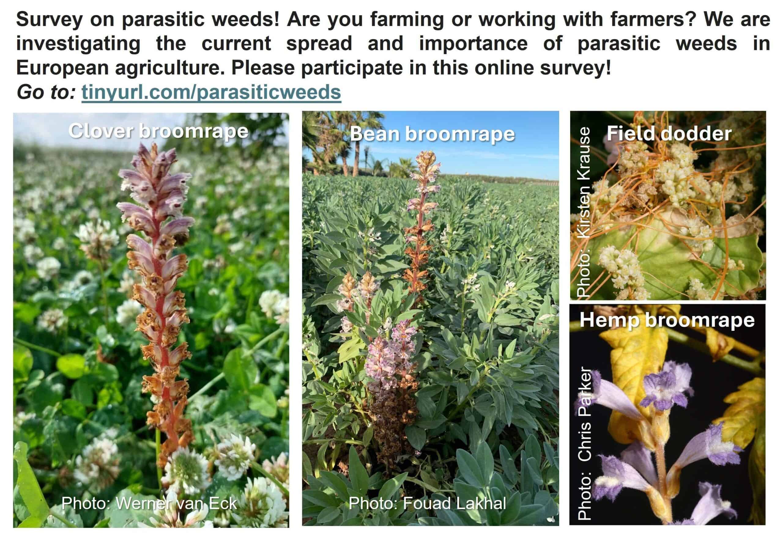 Farm survey on parasitic weeds in Europe: please help us reach out to ...